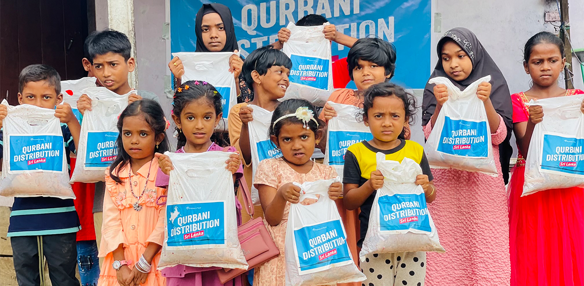 Seasonal Projects – GER-SL